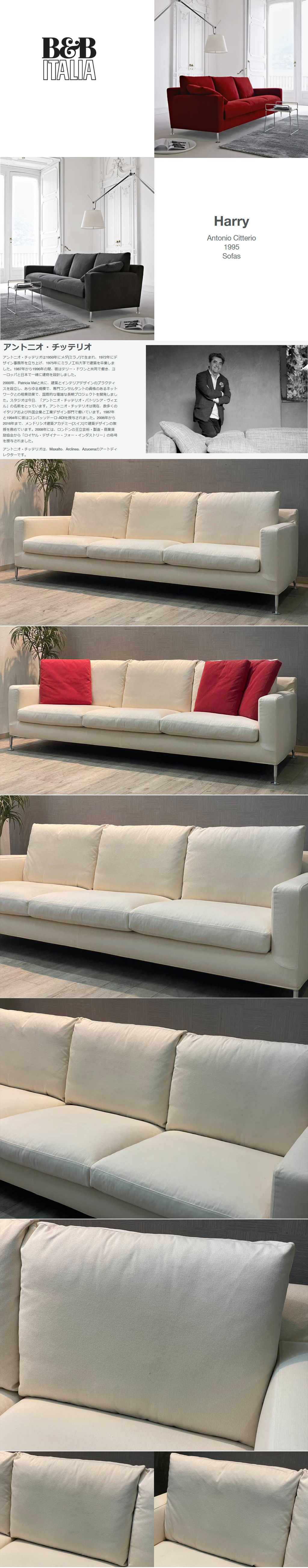 代購代標第一品牌－樂淘letao－B&B ITALIA HARRY 最高級3人掛ソファ 約100万円 ファブリック B&Bイタリア ハリー Antonio Citterio トリプルソファ 3 ...